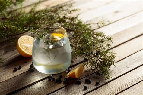 7 Keys To Juniper Cultivation