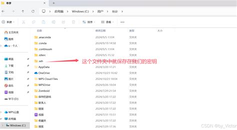 Git远程储存功能的实现git Window免密克隆linux仓库 Csdn博客