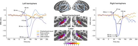 Neuronal Modeling Of Cross Sensory Visual Evoked Magnetoencephalography Responses In The
