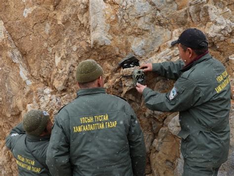 Янгирын тоо толгой байршлыг тогтоох зорилгоор автомат камер байршуулжээ Humanz