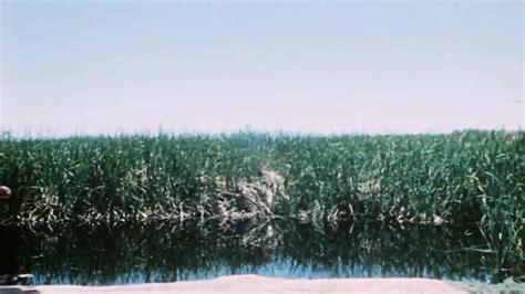 The Sexorcists Devil Retro Retro Porn Feat Marina Pierro Xhamster