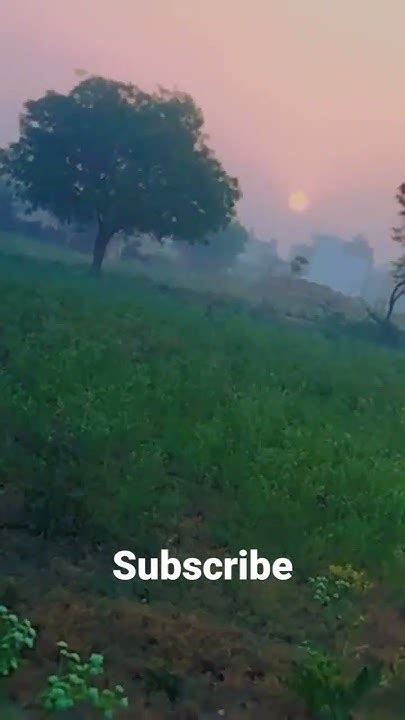 Udja Kale Kawaghar Aaja Pardesialkayagnik Uditnarayan Nature Viral Short Shorts Youtube