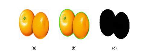 Segmentation Of A Color Image A The Color Image B And C The Download Scientific Diagram
