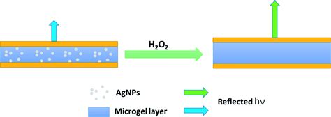 Silver Nanoparticle Loaded Microgel Based Etalons For H 2 O 2 Sensing Rsc Advances Rsc