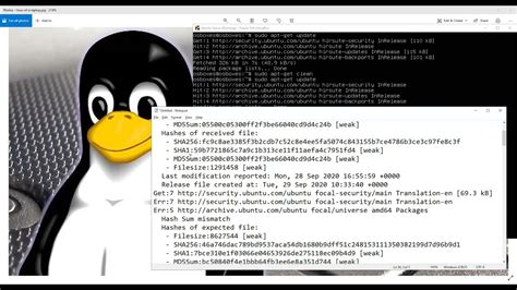 Linux Questions Solving Apt Get Hash Mismatch Error Youtube
