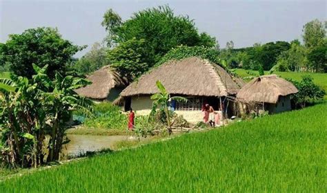Village Hut Life In Bangladesh Village Photography World Travel Guide Village Photos