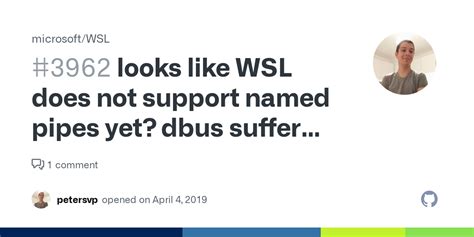 Looks Like Wsl Does Not Support Named Pipes Yet Dbus Suffers And Other