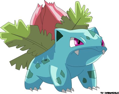 Ivysaur Pokemon Art Grass Poison Type Evolutionary Stage Png