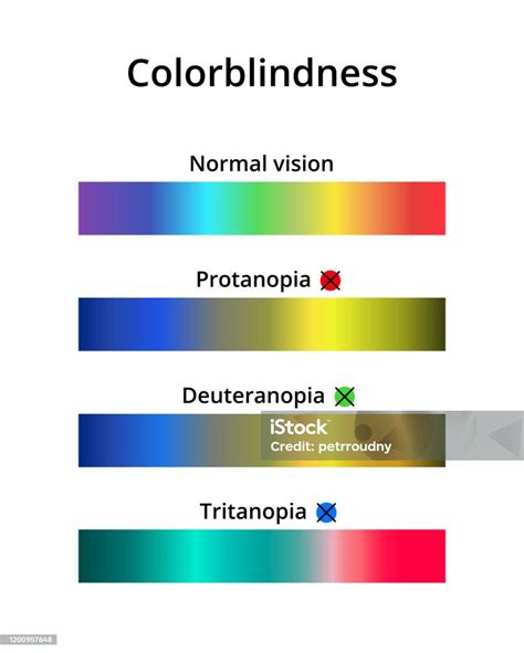 Vector Illustration Of Color Blindness Or Colorblindness Normal Vision