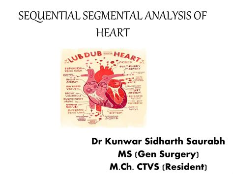 Sequential Segmental Analysis Of Heart Pptx