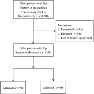 A Flow Diagram Of The Selection Process Download Scientific Diagram