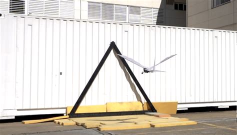 The Griffin E Flap Ornithopter During An Outdoor Fully Onboard Guidance Download Scientific