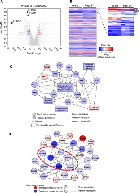 Transcriptomic Analysis Of Becs Of Severe Asthmatics Pre And Post Bt