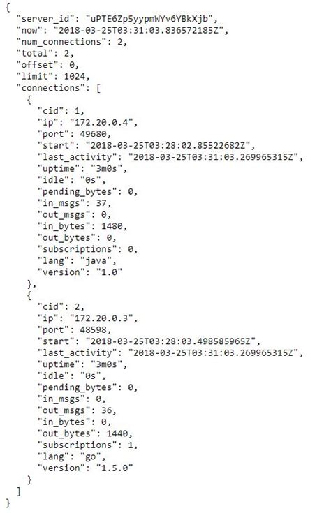 Github Abhirockzznats Hello World Docker Nats Pub Sub Example With Go And Java Client Using