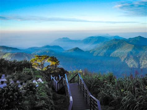Eryanping And Tea Mist Trail Two Amazing Hikes En Route To Alishan