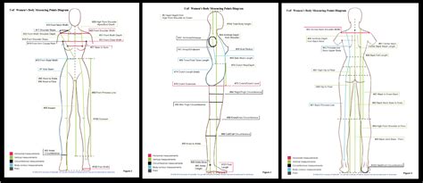 A Master Class In Measuring The Female Body University Of Fashion Blog