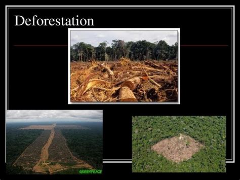 Issues In Latin America Ppt Download