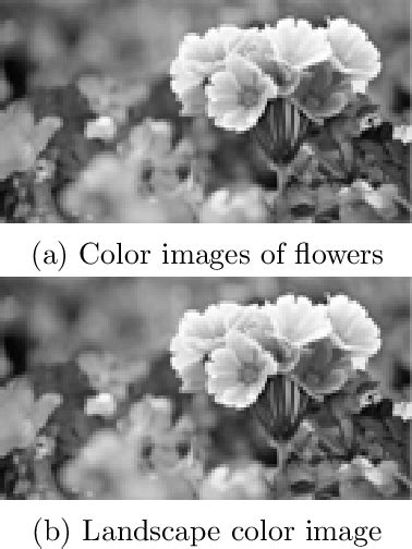 Figure 1 From Research On Image Digital Watermarking Optimization Algorithm Under Virtual