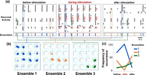 Neuroscience Breakthrough In Vitro Neurons Exhibit Advanced Brain Like Behavior