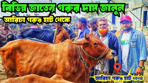 আরিচা গরুর হাট থেকে বিভিন্ন জাতের গরুর দাম জানুন আরিচা গরুর হাট ২০২৪ Banglar Goru Youtube