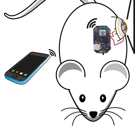 Innovative 3d Printing Enabled Strain Sensor Unlocks Real Time