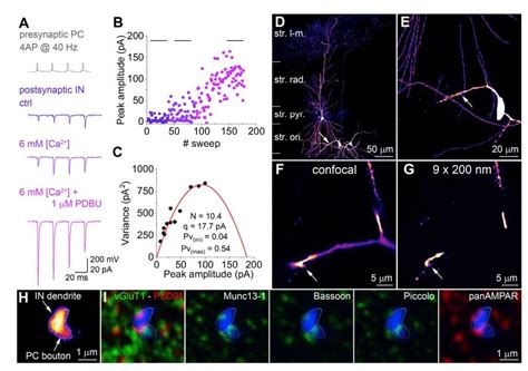 [open Access] A High Resolution Method For Quantitative Molecular