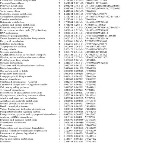 Molecular Pathways Associated With The Differentially Expressed Genes