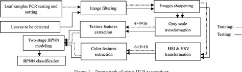 Figure 1 From Detection Of Citrus Huanglongbing Based On Image Feature