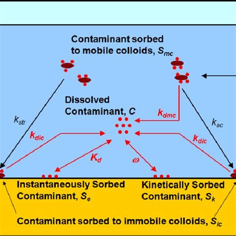 Schematic Of The Hydrus Package For Modflow Download Scientific Diagram