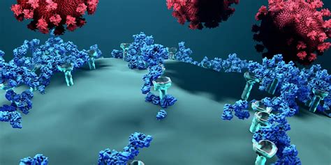 Nucleoside Nucleotide Reverse Transcriptase Inhibitors Nrtis