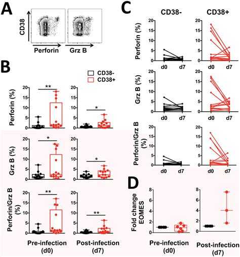 Cd38 Cd4 T Cells Have A Phenotype Associated With Cytotoxic Download Scientific Diagram