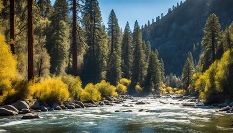 Where Is Gold Most Commonly Found Discover Key Locations