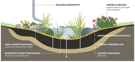 Best 13 Designing A Rain Garden To Conserve Water Artofit