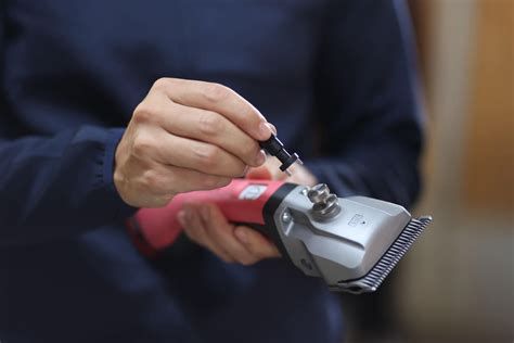 Aesculap Präzisionsjustierhilfe Torqui Für Schermaschinen Econom Fundis Reitsport