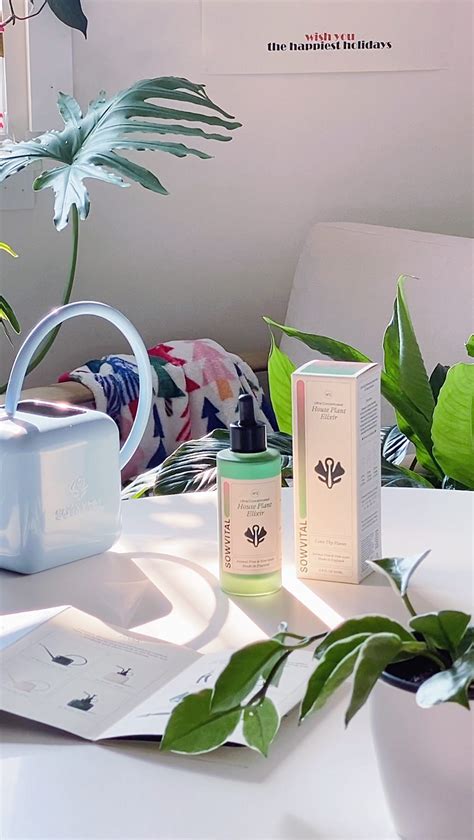 최소우림 플랜테리어 L 식물집사의 방 광고 Temukorea 테무 인테리어 추천템 10가지 🔍테무 신규가입 13