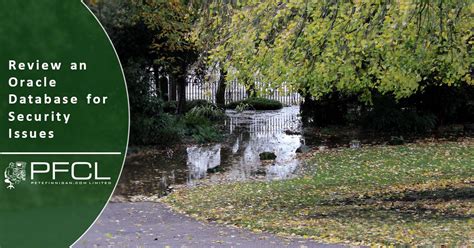 Limited On Linkedin Oracleace Secure Data