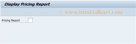 8KEG 03 SAP Tcode Display Pricing Report