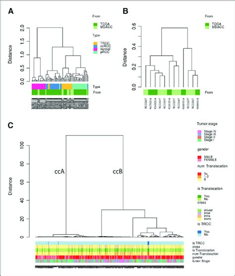 a unsupervised clustering of mitf tfe trcc ccrcc papillary rcc and