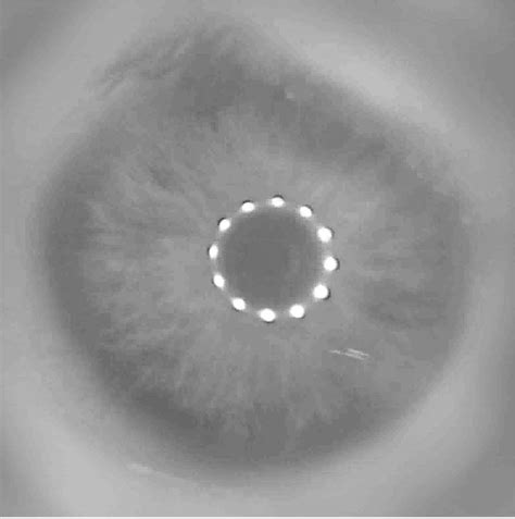 How Do I Create A New Binary Image Excluding Specific Found Regions Regionprops Rmatlab