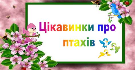 Міжнародний день птахів Цікавинки Презентація Виховна робота