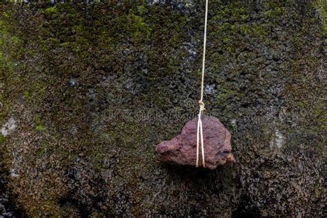 Stone Hanging By A String A Stone Tied To A Rope Stock Image Image