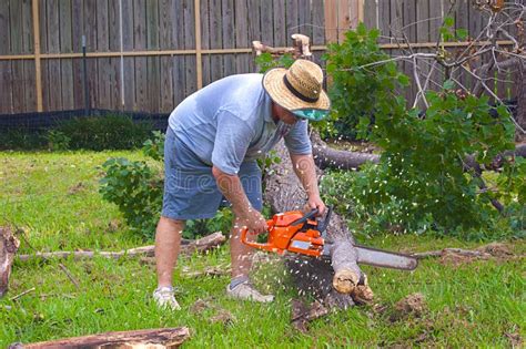 Man Cutting Tree Limbs Stock Image Image Of Occupational
