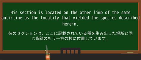 【英単語】anticlineを徹底解説！意味、使い方、例文、読み方 おもしろい英文法