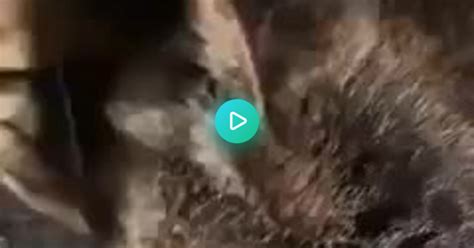 Repeater Album On Imgur