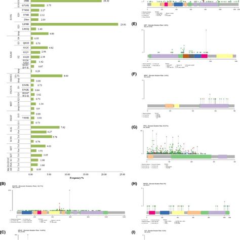 Somatic Alteration Frequencies Of 14 Cancer‐related Genes A The Main