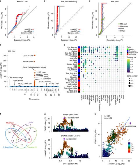 Relationship Between Complex Traits And Cis Qtls A Cis Eqtls Download Scientific Diagram