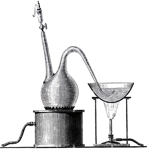 The Swan Neck Flask Experiment A Comprehensive Guide