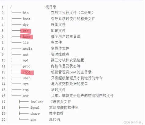 Linux——基础命令1 Csdn博客