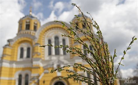 Що важливо знати про Вербну неділю: традиції, прикмети та заборони ...