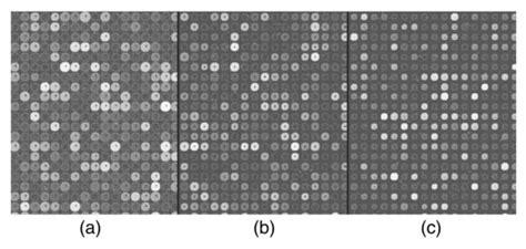 simulation of cdna microarrays via a parameterized random signal model